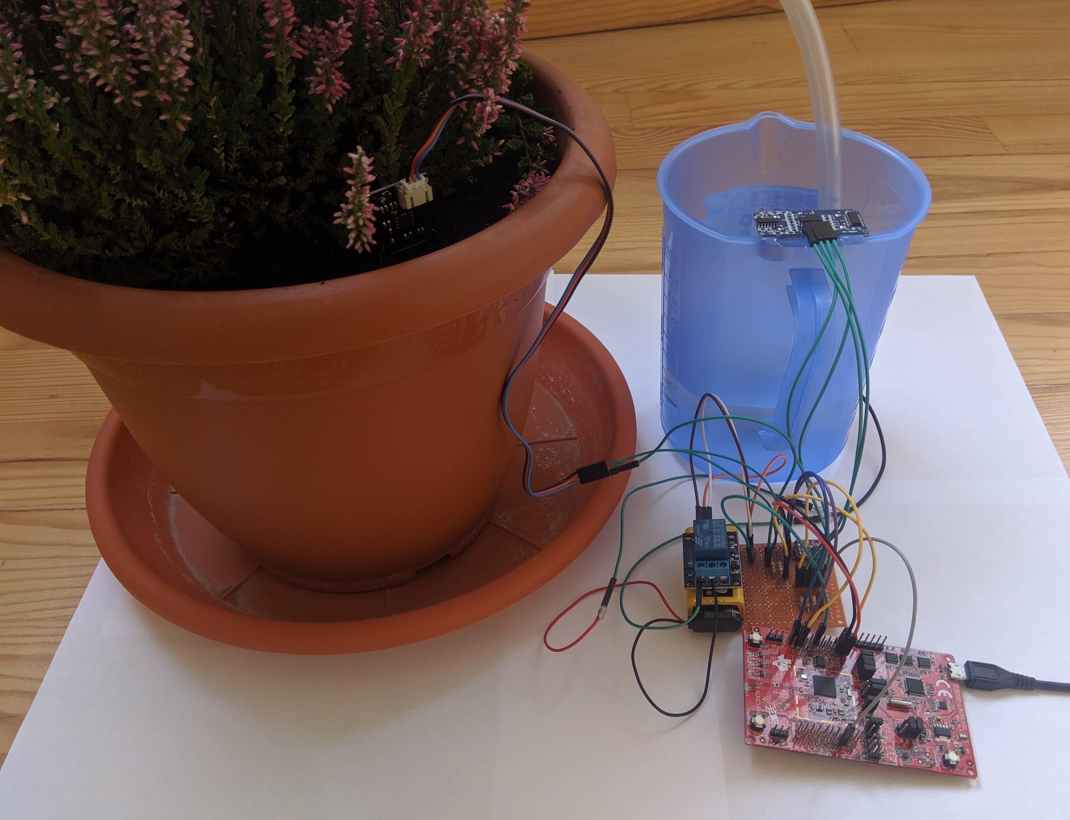 Watering System | Sergio Gasquez